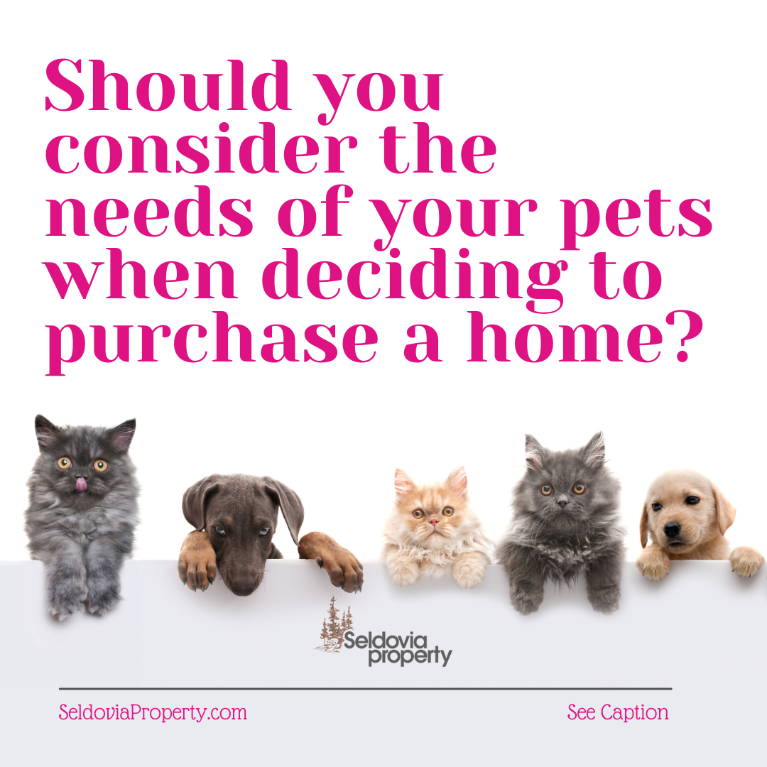 Should You Consider the Needs of Your Pets When Purchasing a Home?