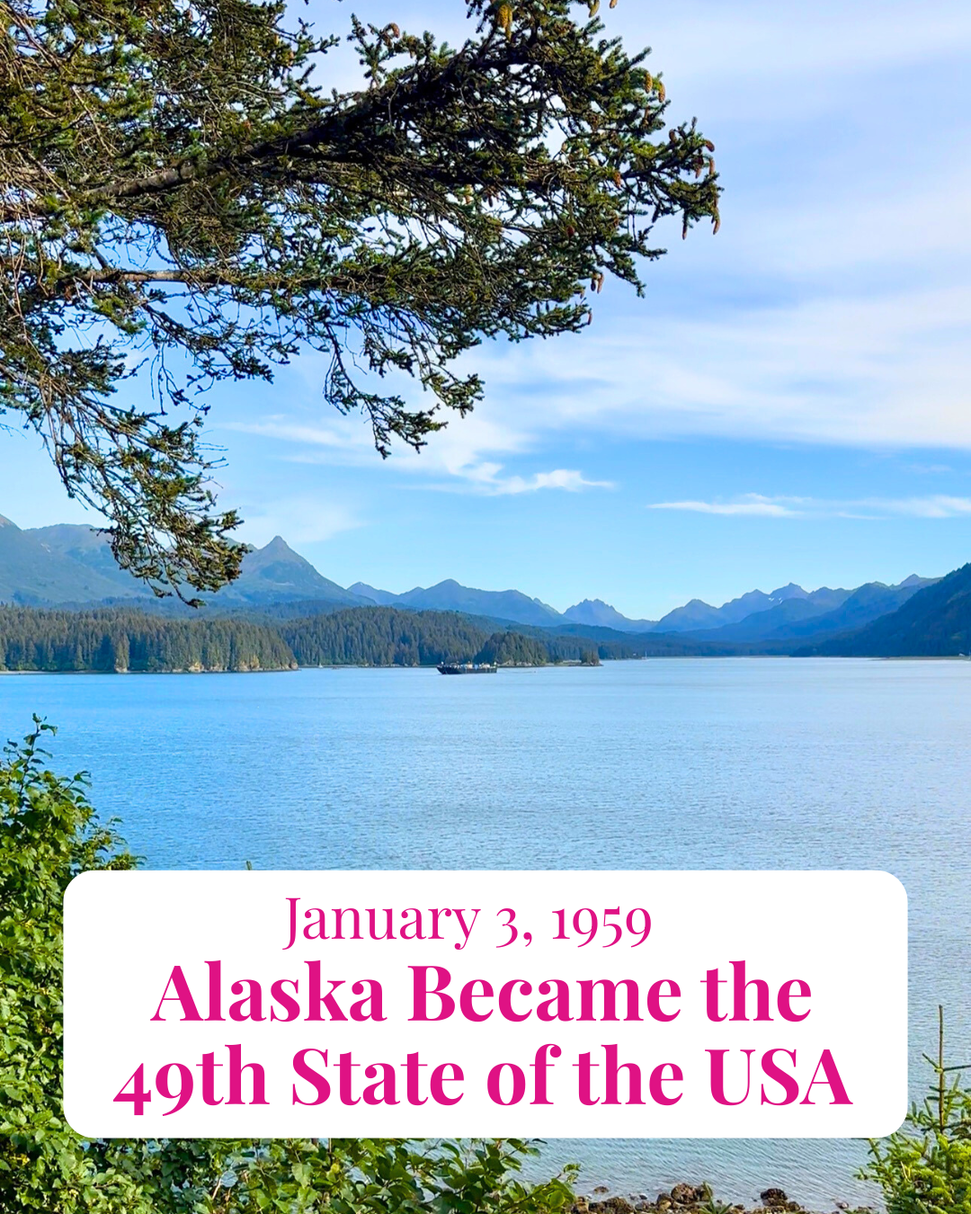 On January 3, 1959, Alaska officially became the 49th state of the ...