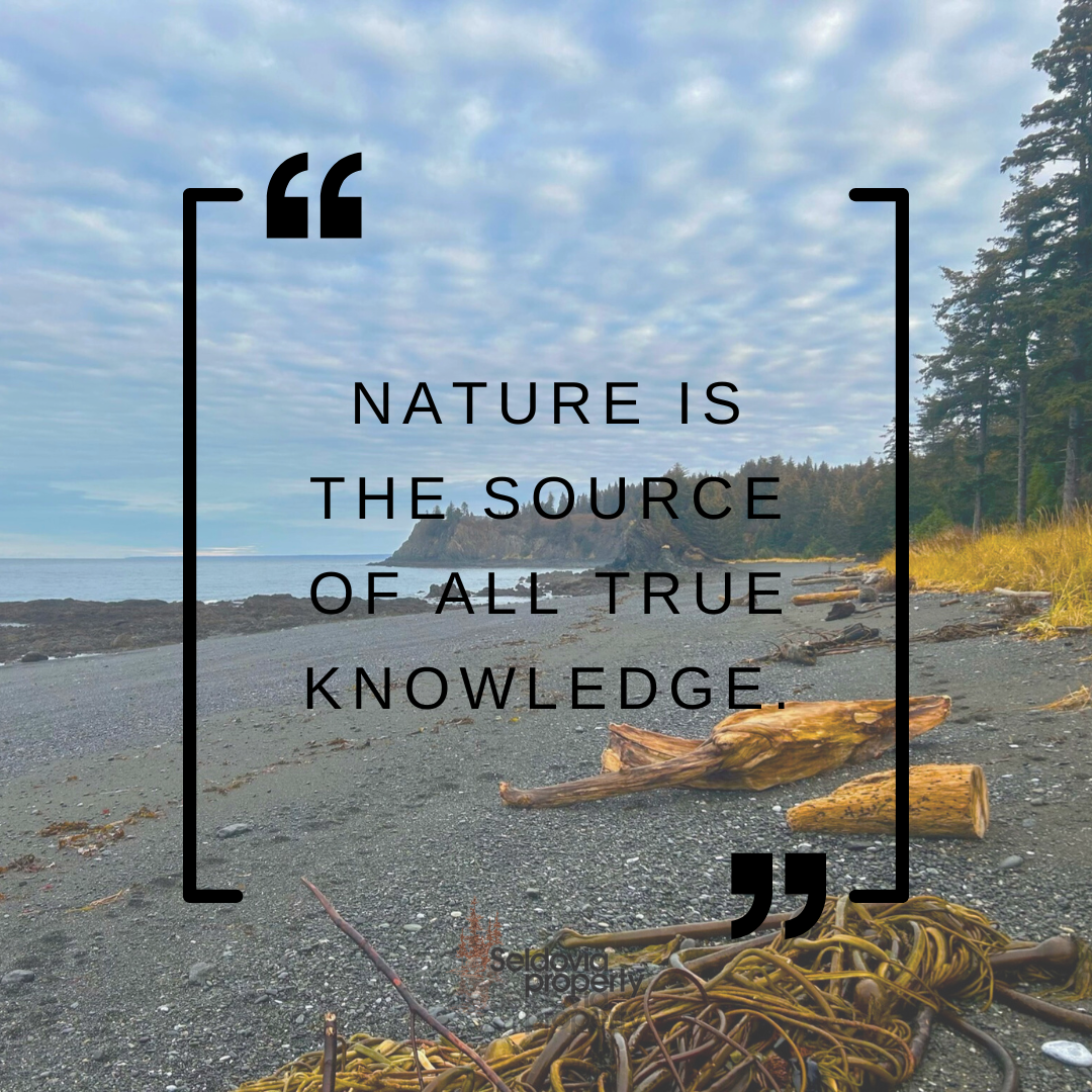 Unlock the secrets of the world by embracing nature, the wellspring of ...