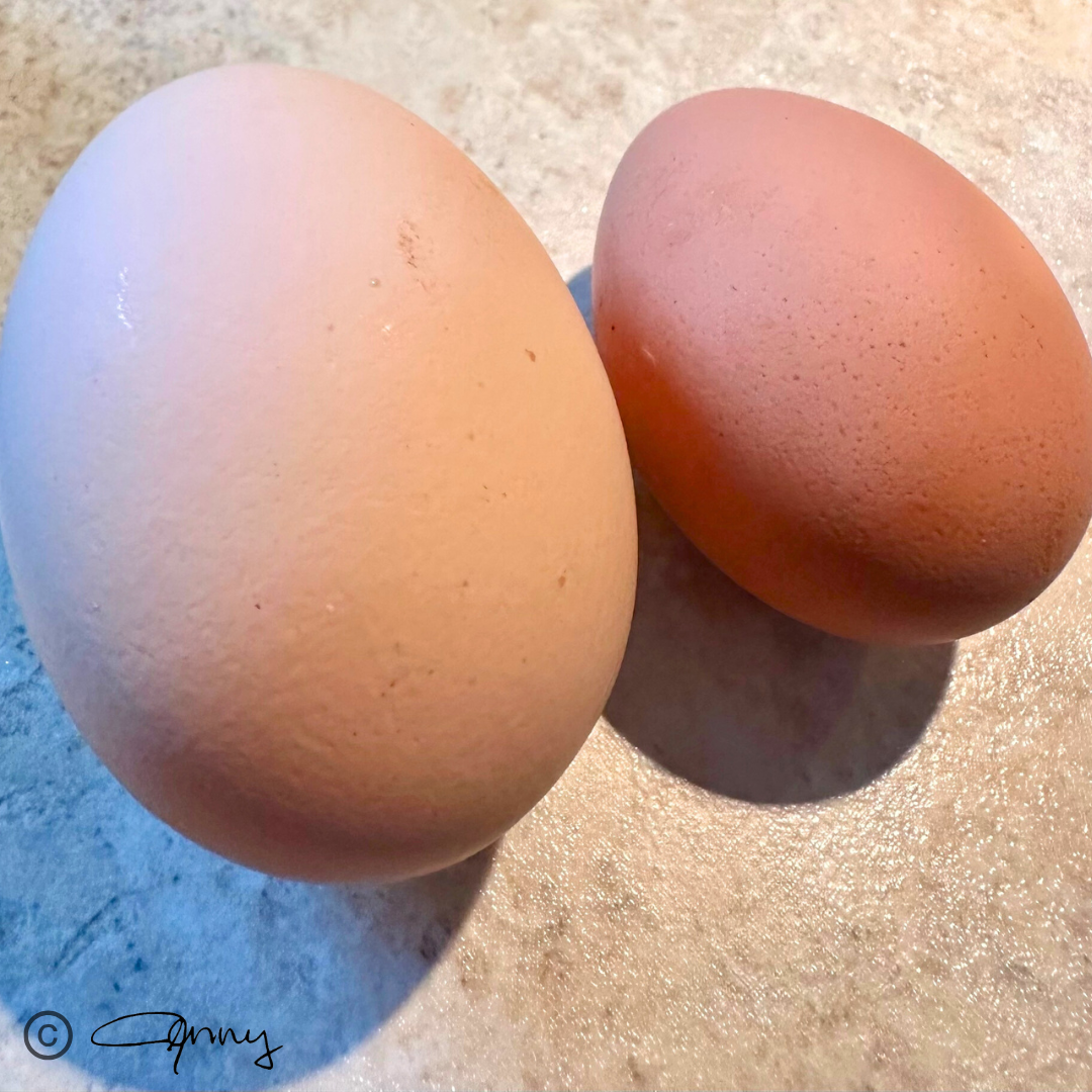 Big egg, little egg—double the surprise! Yes, we have twins!